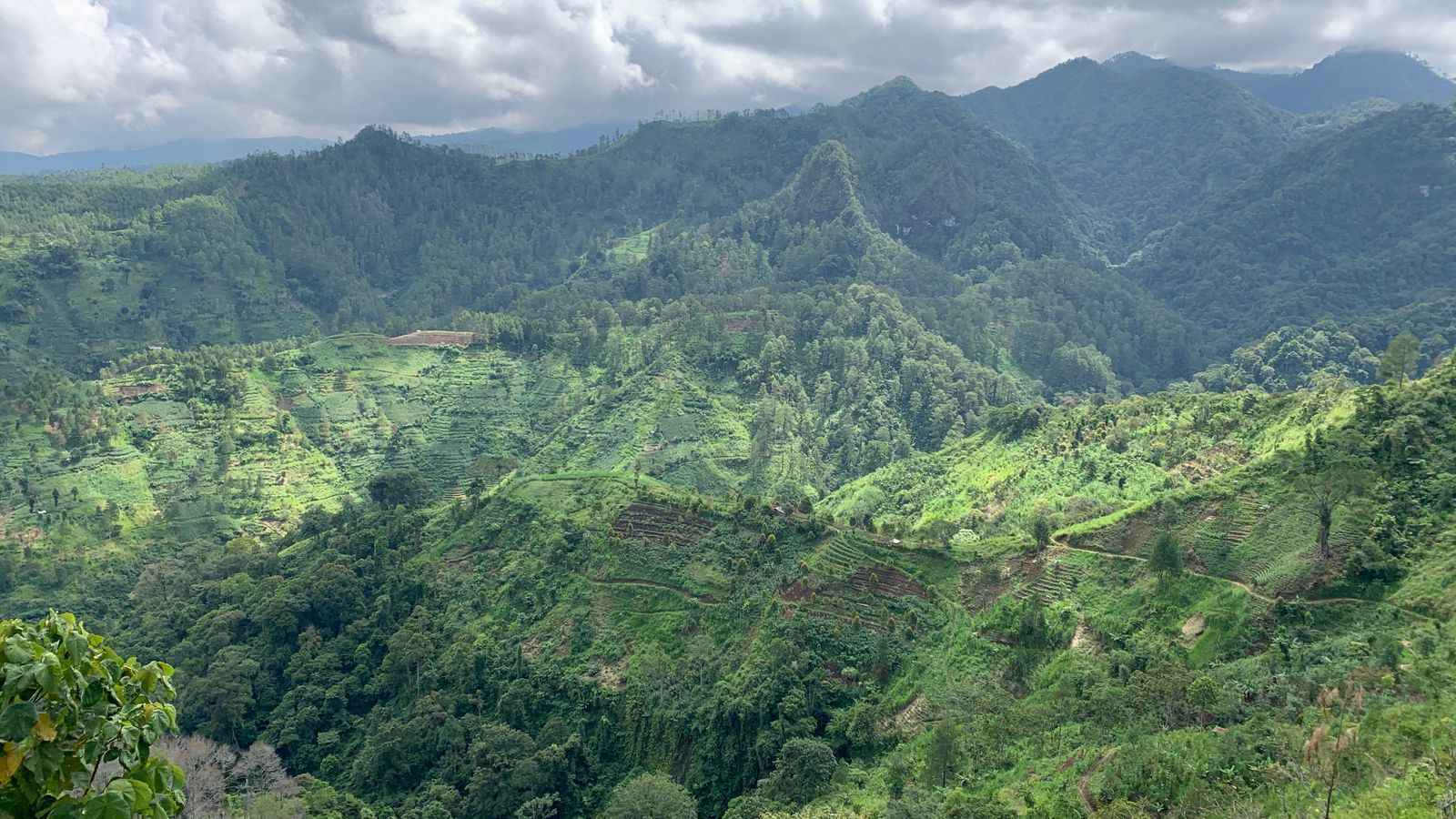 Wisata Alam Gunung Wilis via Botoputih: Surga Tersembunyi yang Kini ...